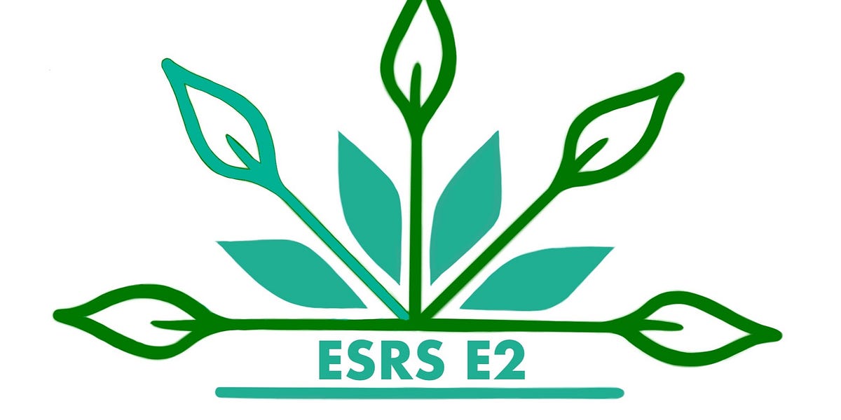 Introduction to ESRS E2 - by Lars Wullink - CSRD Simplified