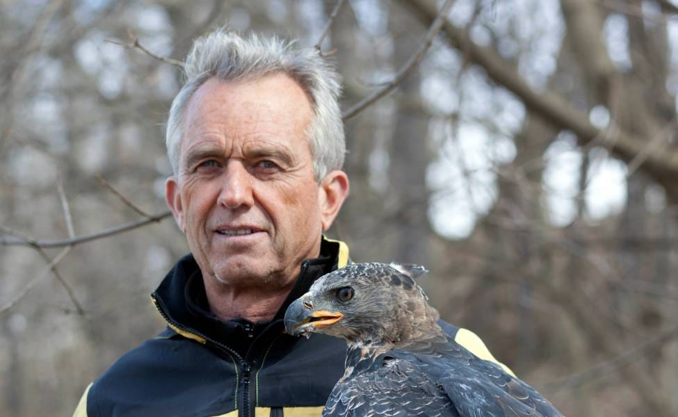 The Hill: Why I believe RFK Jr. will be the 2024 Democratic nominee ...