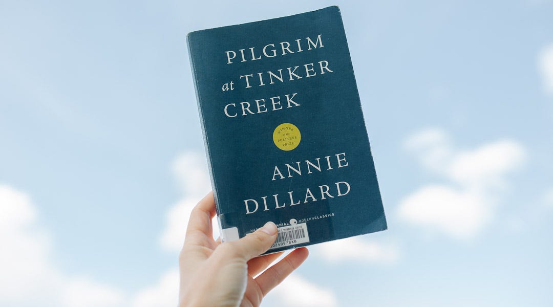 Pilgrim at Tinker Creek by Annie Dillard - by Melody Crouch