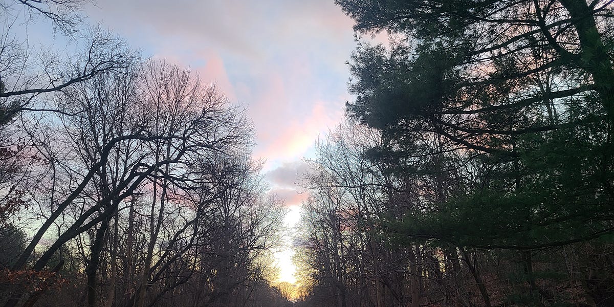 What are my ins and outs for 2025? - by Anya Richkind