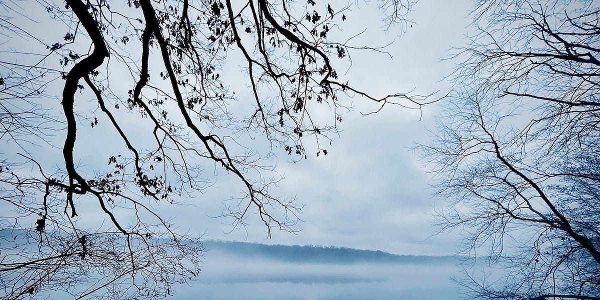 What the Whispers Know - by Shel Kim Rollison