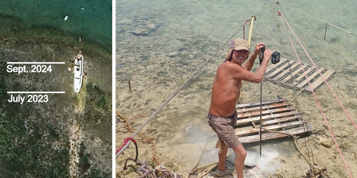 Five Years On, And It's All Downhill Now for Anna Marie (Videos)