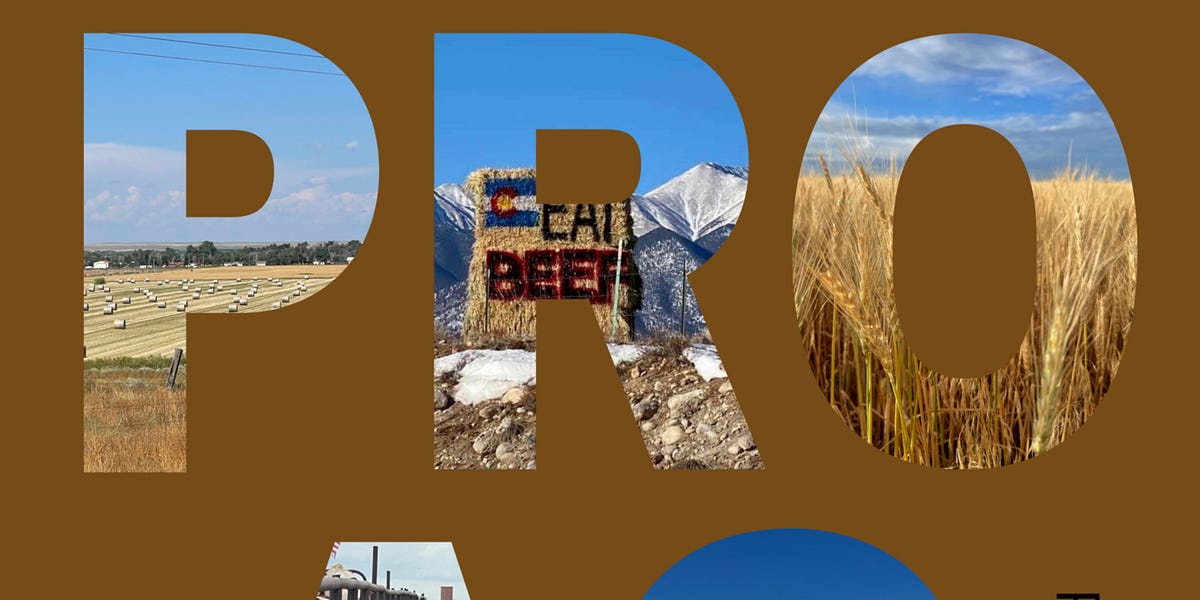 Episode 13: Human Trafficking and Politics with Kelly Dore and Marianne ...