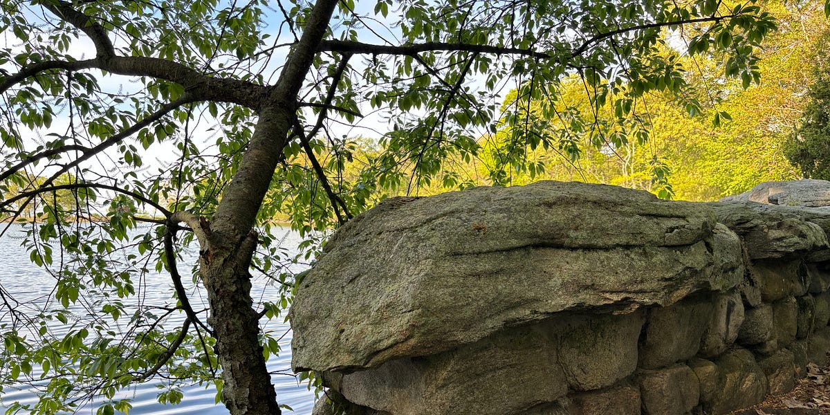 A Rock Rounded By Rain - by Victoria Nordgren