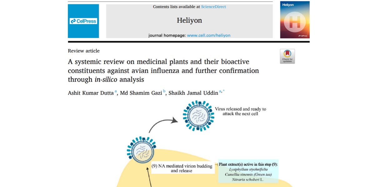 Natural Compounds that Target and Disrupt Bird Flu Infection