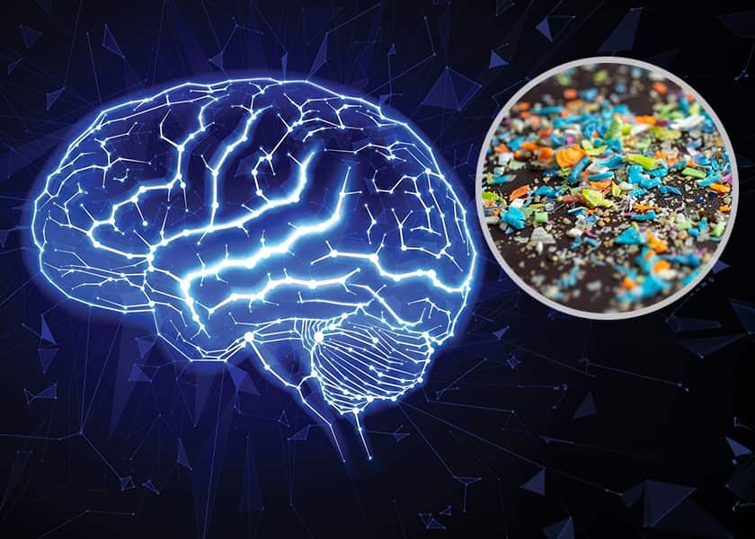 Microplastics Accumulate in Your Brain More Than Other Organs