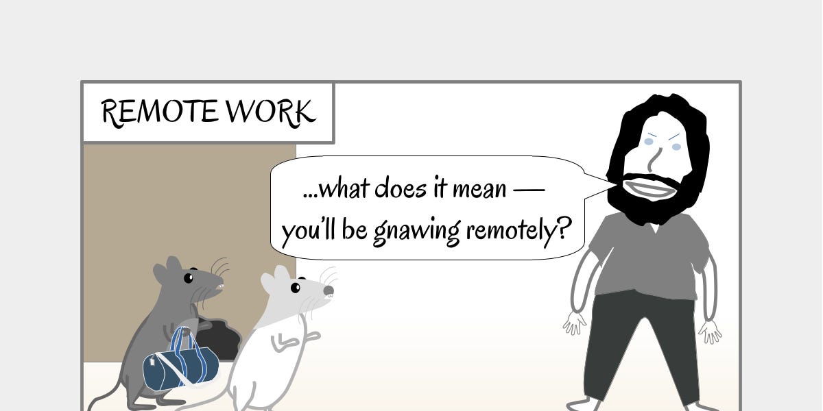 Remote Work - Rat Says