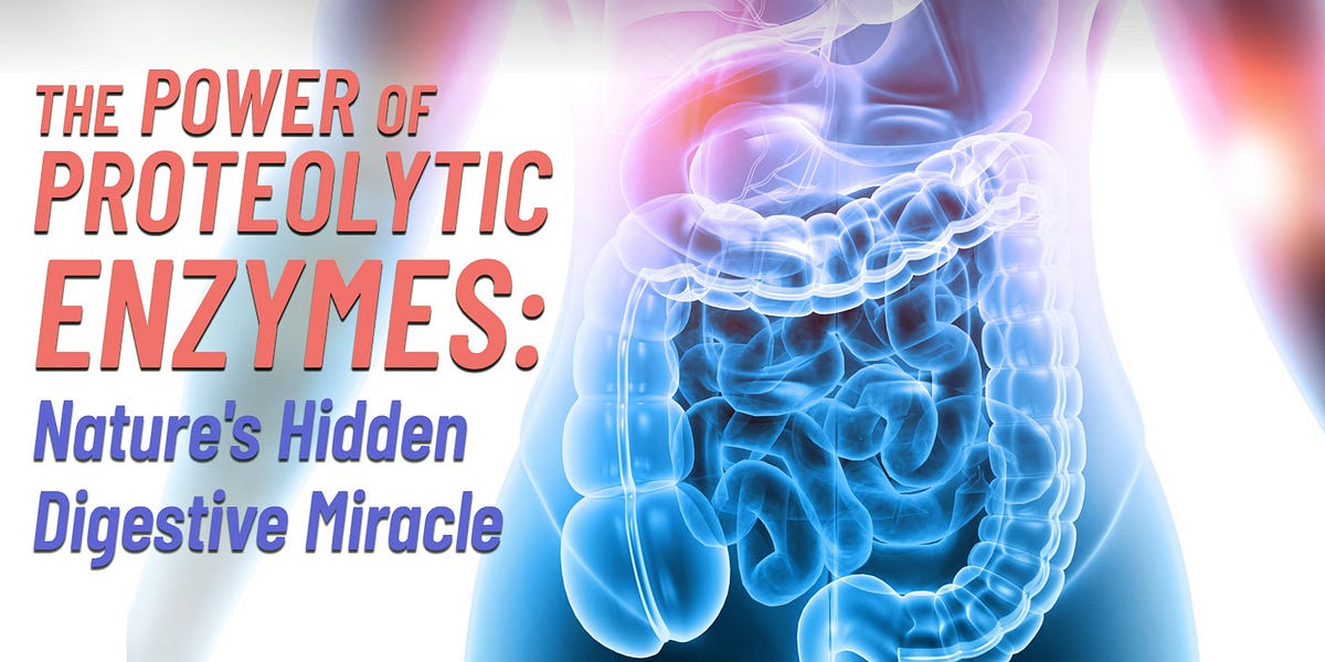 The Power of Proteolytic Enzymes: Nature's Hidden Digestive Miracle 💪🏻