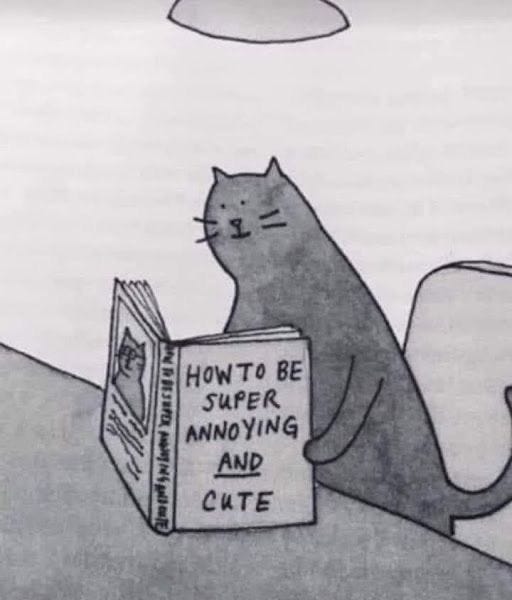 To Be Bored Or To Be Needy - by Akriti