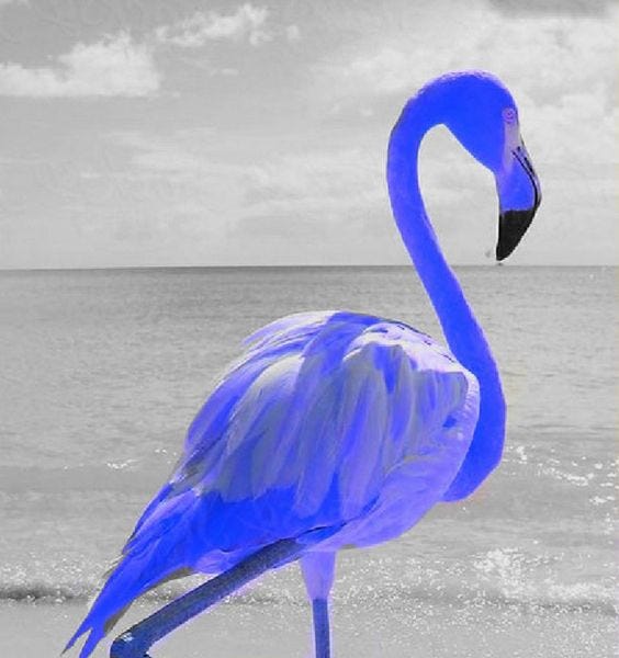 RISE+SHINE - by Ginger Stockwell - {Flamingo It!}