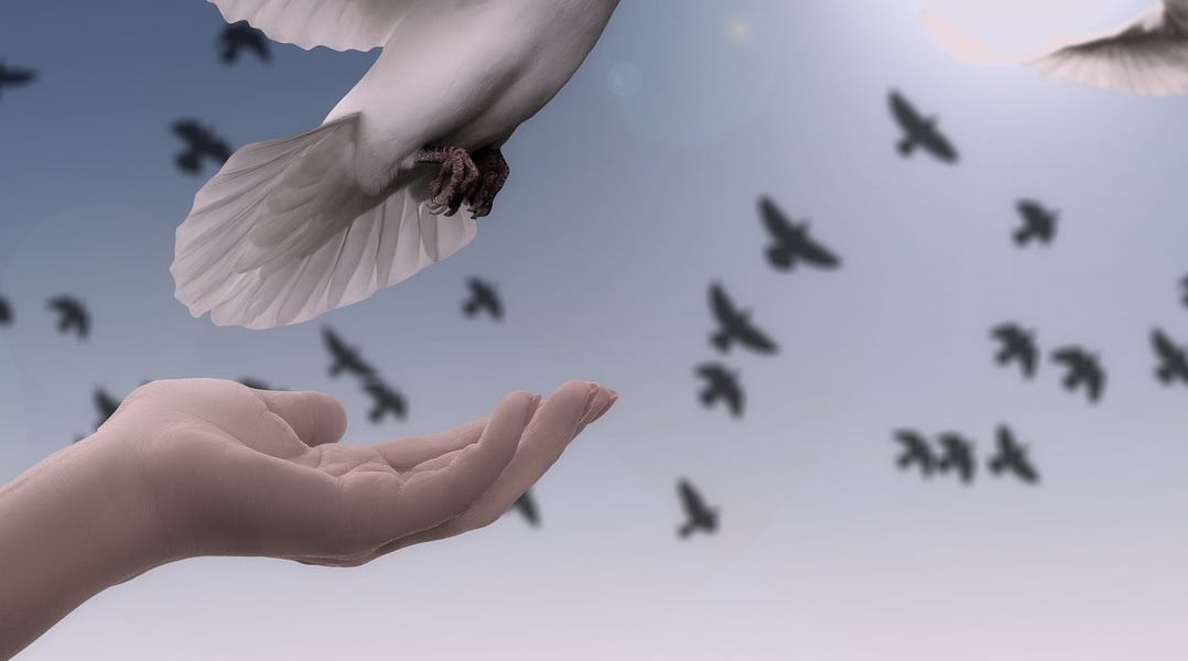 Pressing Toward the Goal: Philippians 3:13-14