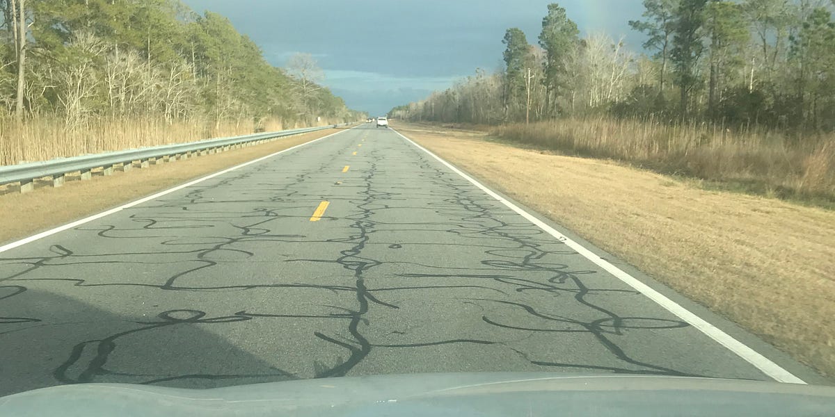 Red wolf country - by Meaghan Mulholland