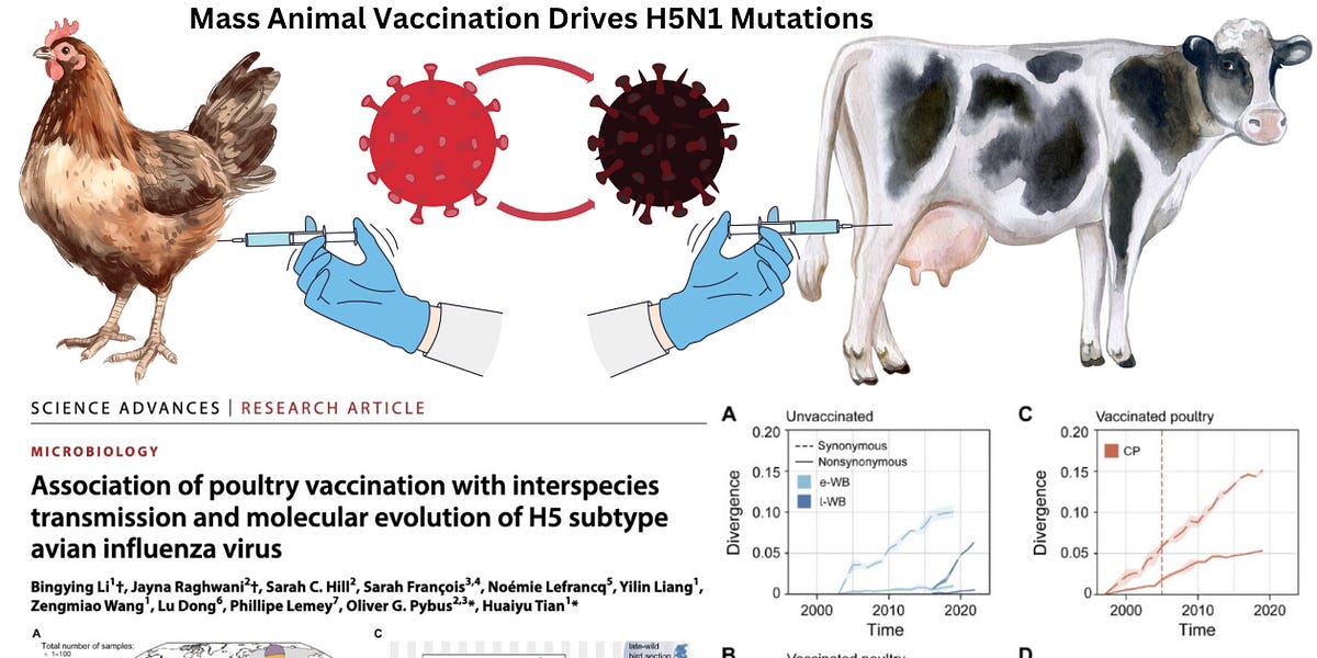 BREAKING - RFK Jr. and Federal Health Agencies Wisely Oppose Mass H5N1 ...