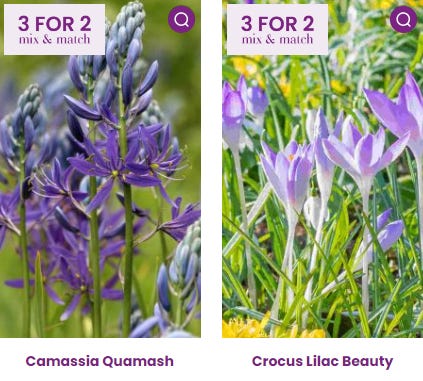 The Garden Minute: Savings Edition - Plantaholics