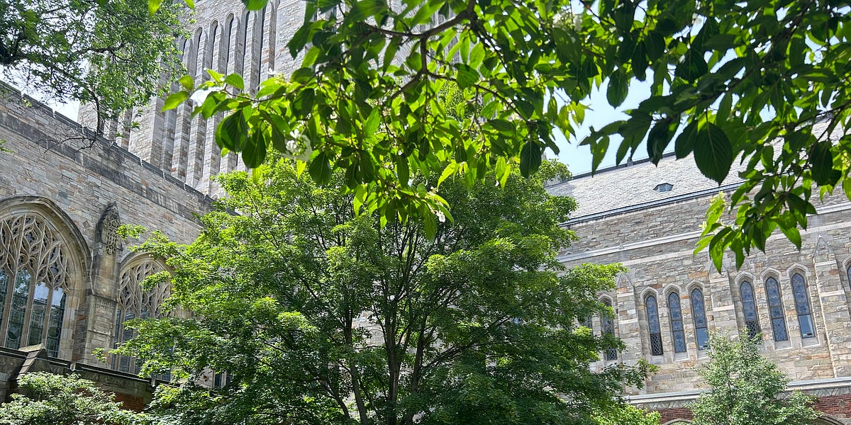 Sterling Memorial Library: Courtyard - by Kira Pan