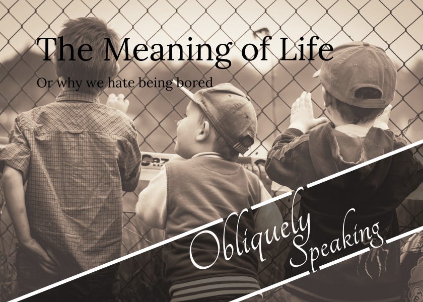 The Meaning of Life - Obliquely Speaking