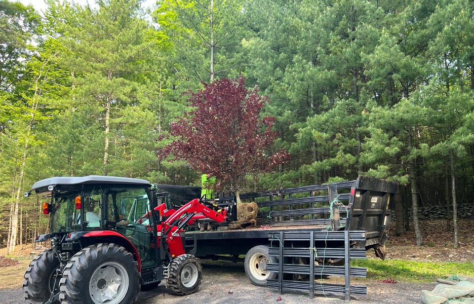 Planting Trees - by Jen - Stumbling Blocks