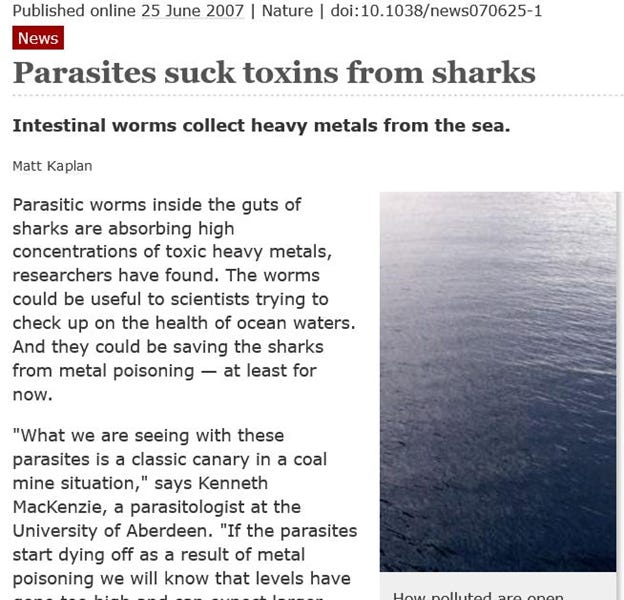 Parasites: friend or foe? - by Betsy