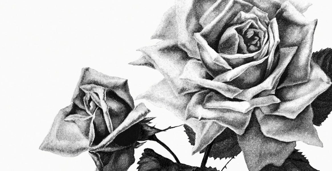 Exodus - by Miles Wray - Thorn Town