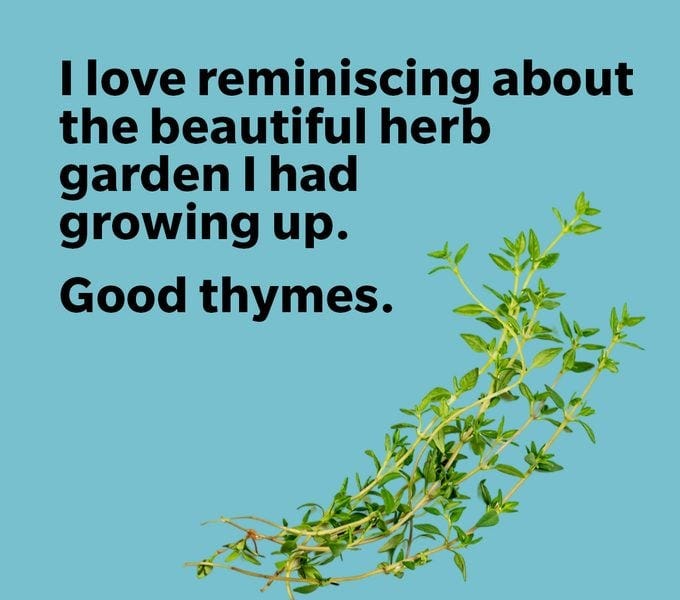 Lectionary Lab PREMIUM Edition for the Seventeenth Sunday after ...