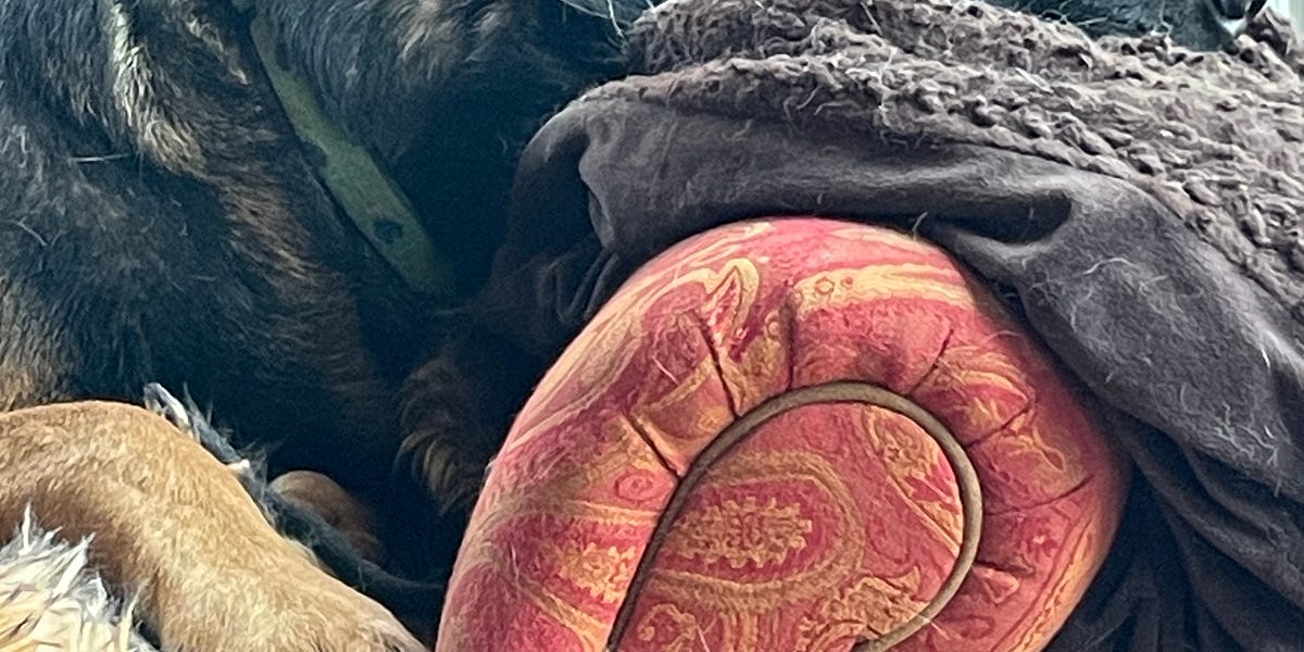 Spring Flurry - by J. F. Riordan