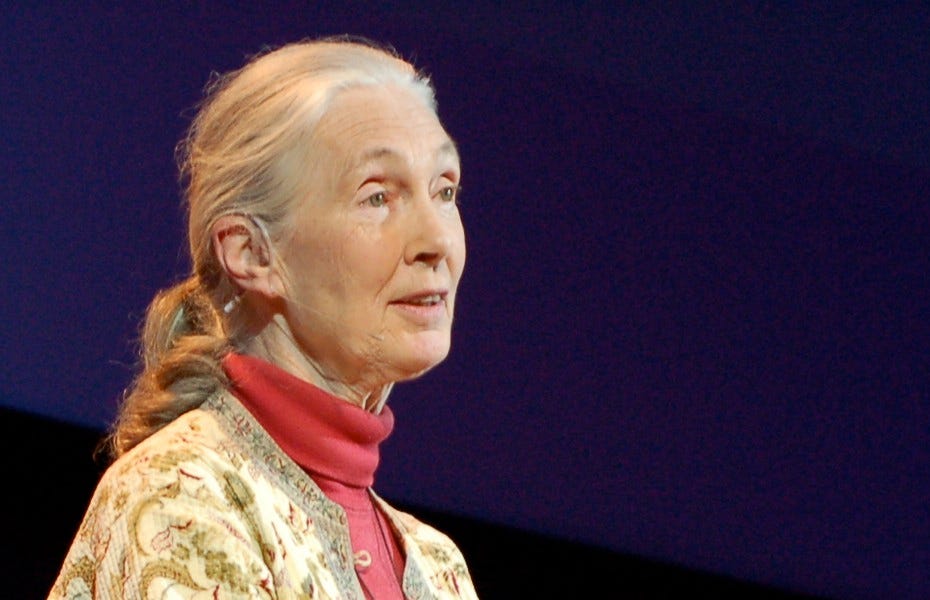 The Difference You Make - by Cathy Reed Weber