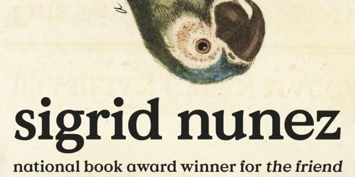 BOOK JOURNAL: The Vulnerables by Sigrid Nunez - by Cassie