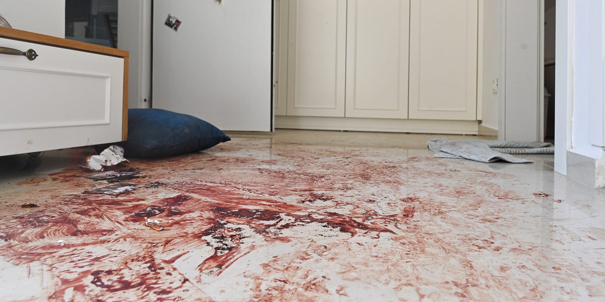 A year after Hamas' massacre, a roundup of Israel's probes into its ...