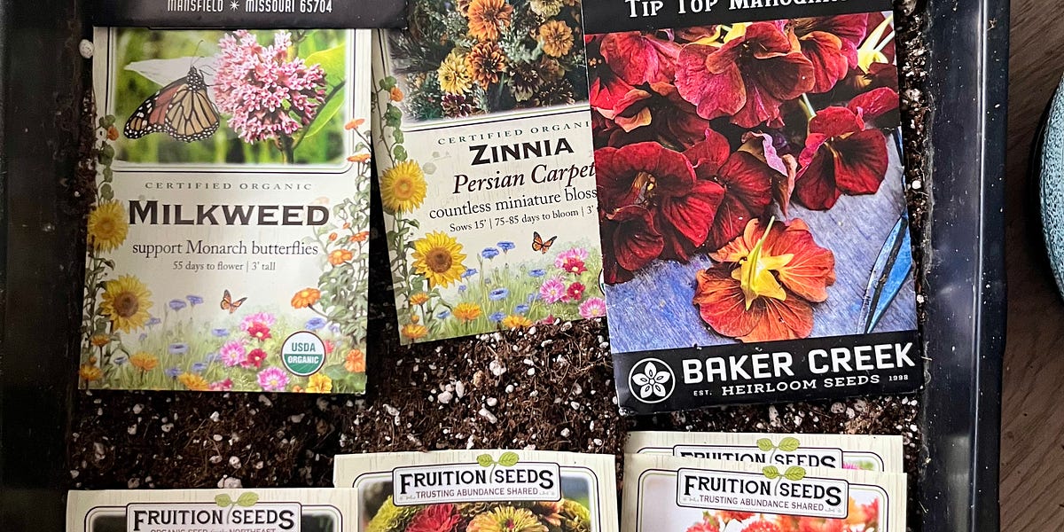 Starting Seeds | Crafting Hope - Tough Mango