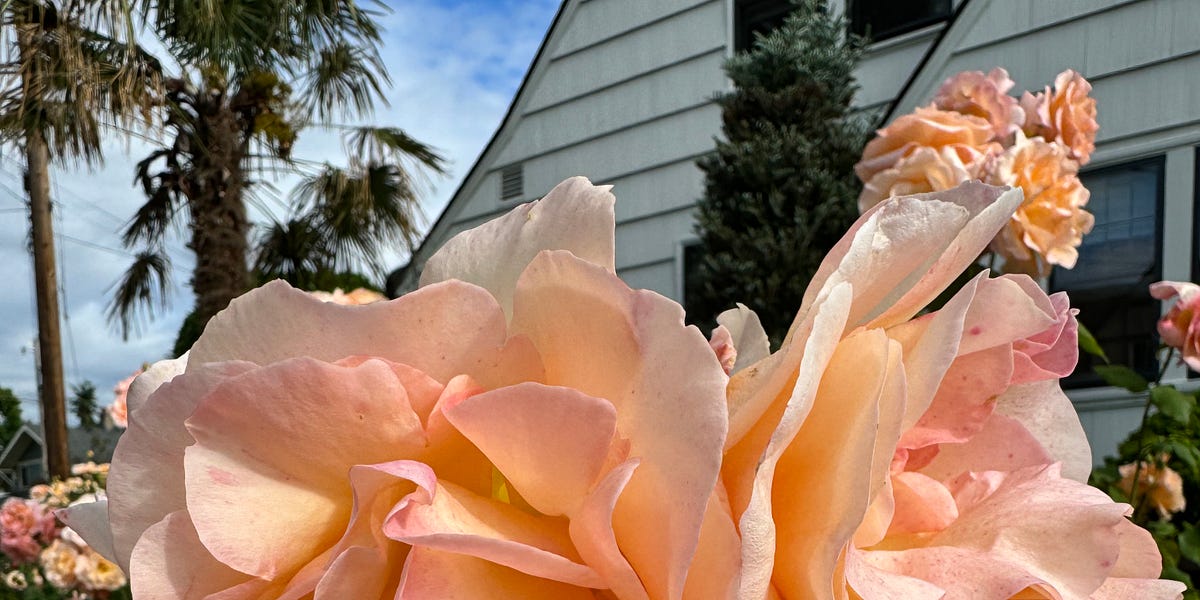 Control and People Pleasing - by Amrit-Sadhana Boyd