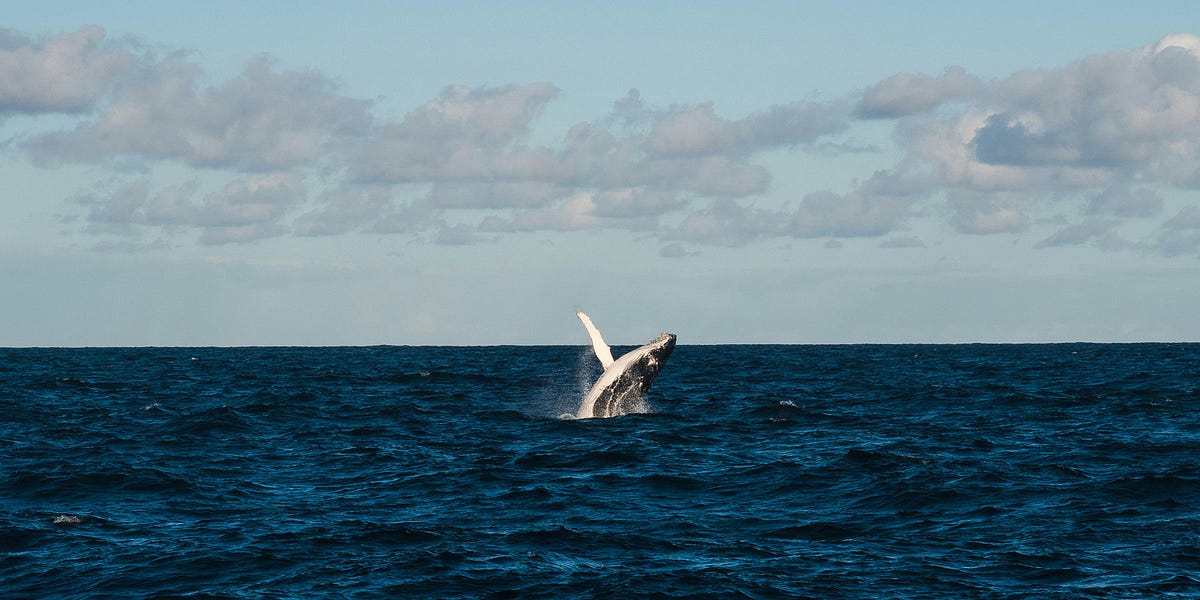 How To Stretch Time - by Bailey Reutzel - Poetic Justice
