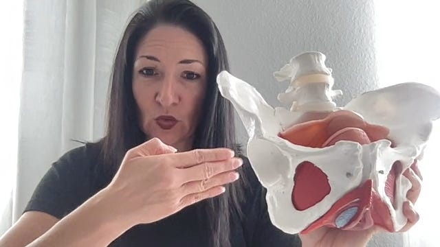 Female Anatomy 101: Plumbing to Pleasure