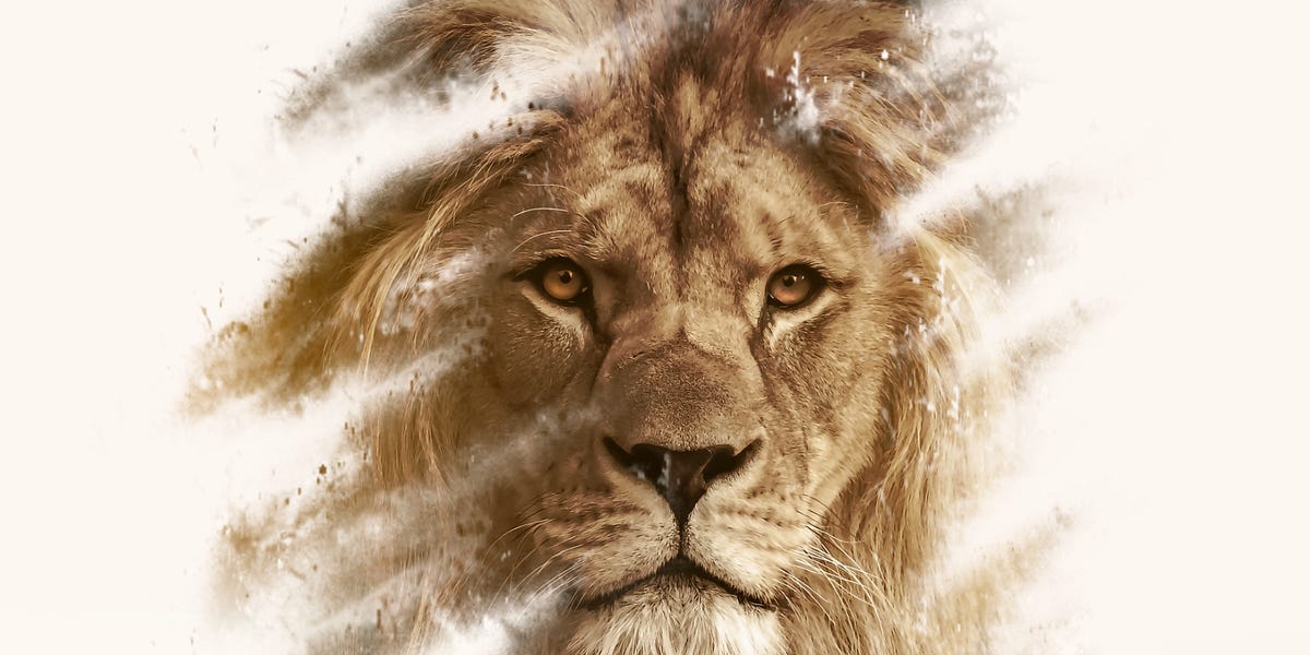 The wounded lion 6 - by Lyvine Achieng - Lyvine’s Substack
