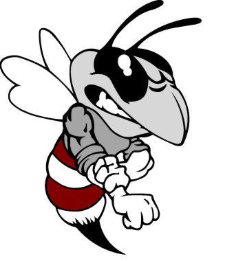 BIG GAME ALERT: Center (7-1) visits Bruce Field to take on Athens (6-2 ...