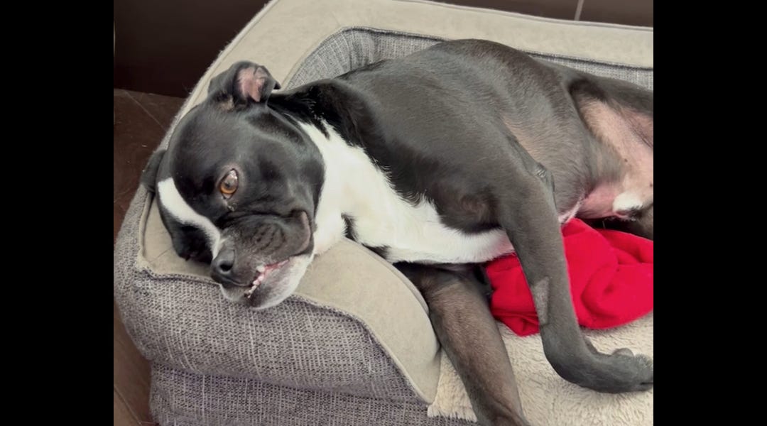 Fireplace Lounge - by Thomas Denning - Thomas’s Substack