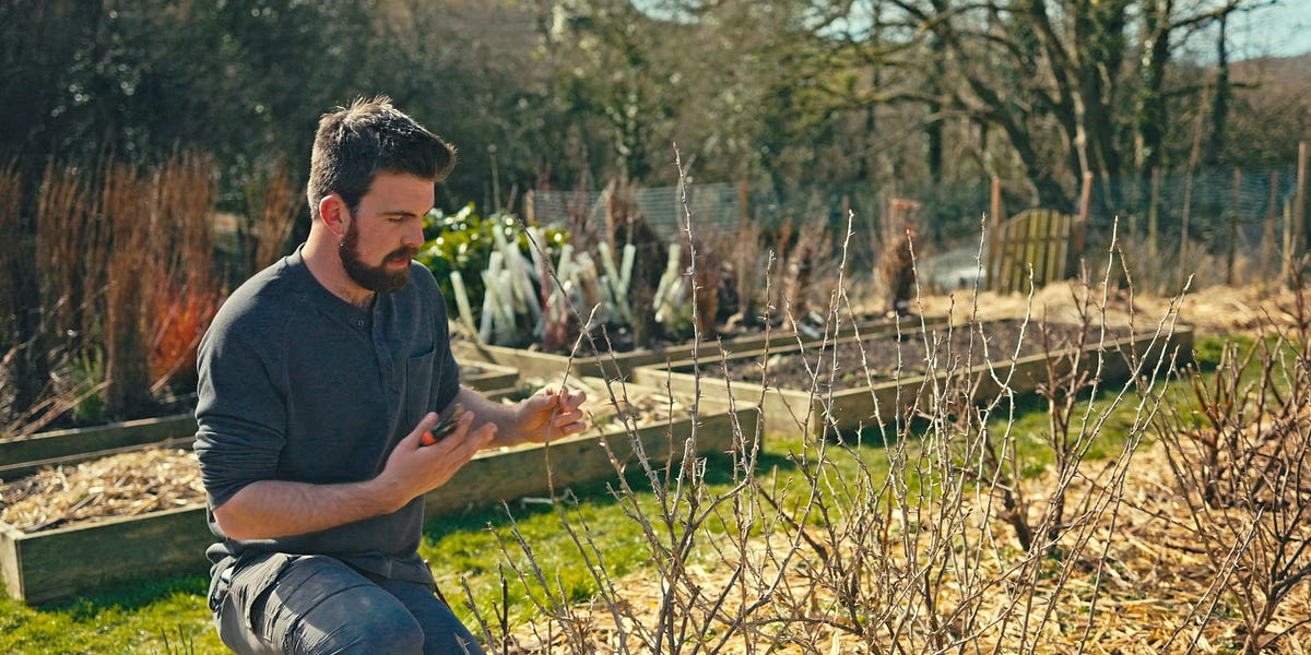 Comments - Hot Bed Trial, New Perennial Experiments, & Garden Updates ...