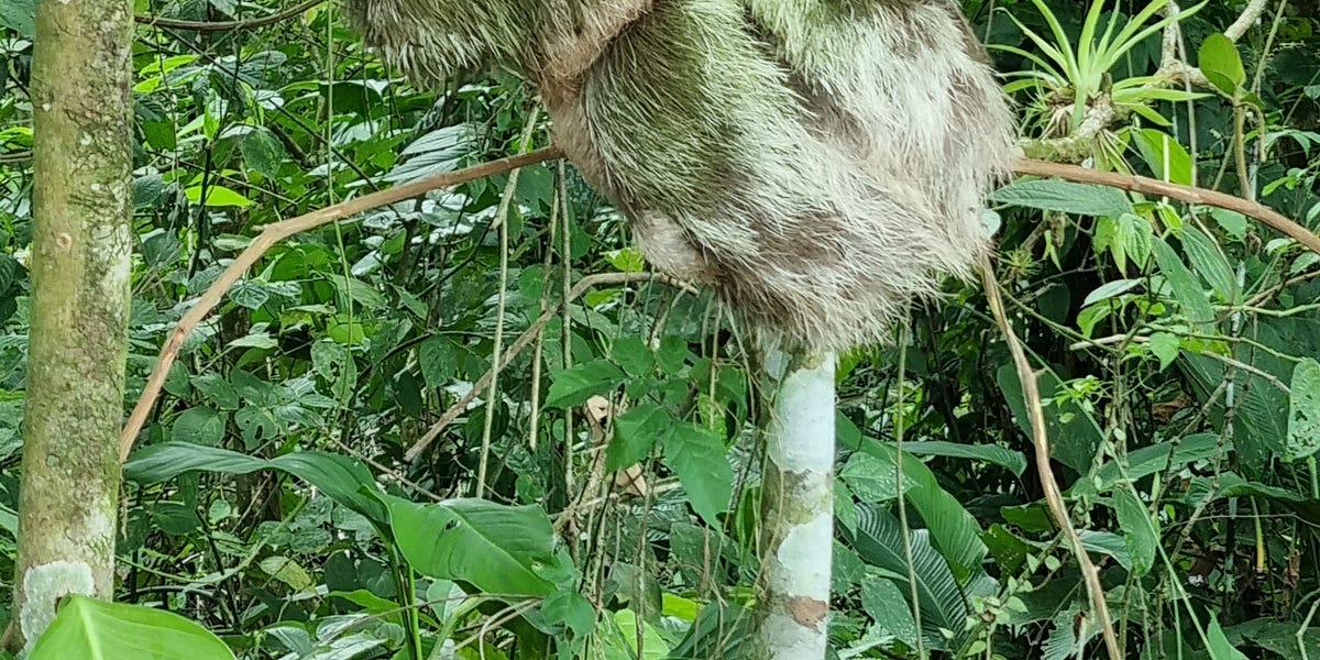 Coast to Coast - by Stephen Irvine