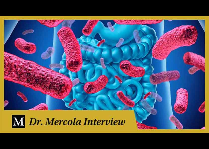 Greg Leyer - Nourishing Gut Bacteria Is Critical for Health, Well-Being
