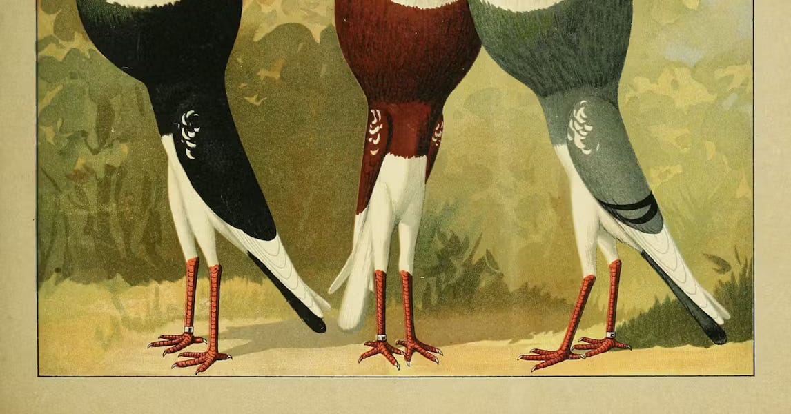 Comments - Six Things, Volume 97 - by Lev Parikian