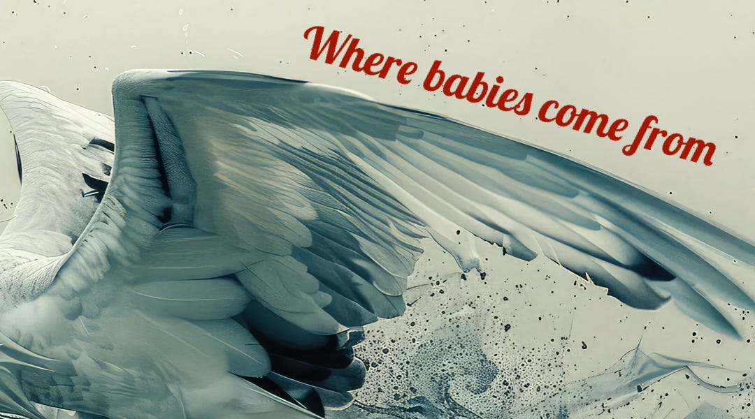 Where babies come from - by Sean Thomas McDonnell