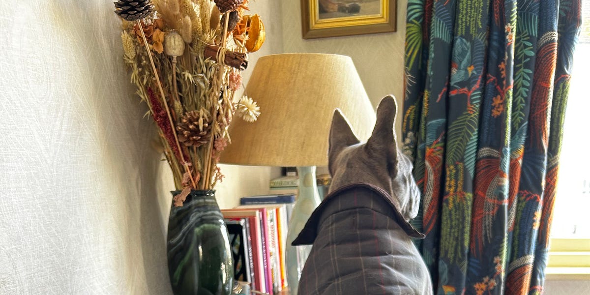 The Battle of The Sexes - by Jo Linney