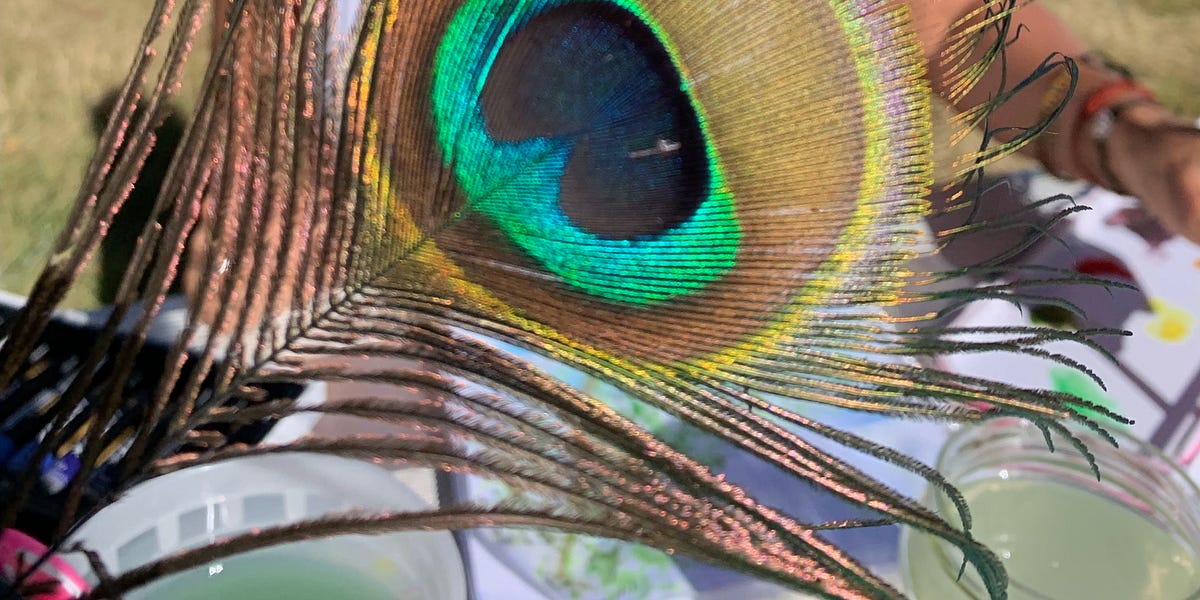 Who Are You? - by Deborah Demander - Transform Your Life