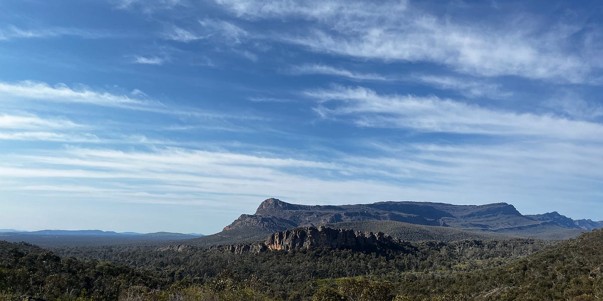 Existence is always shared - by Lucinda Bain