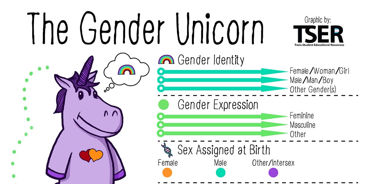 Fr. Martin's Bridge, Pt. 2: The March of the Gender Unicorns