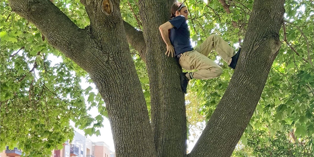 8: A Climbing Report - by Daniel P. Huffman - Dryad