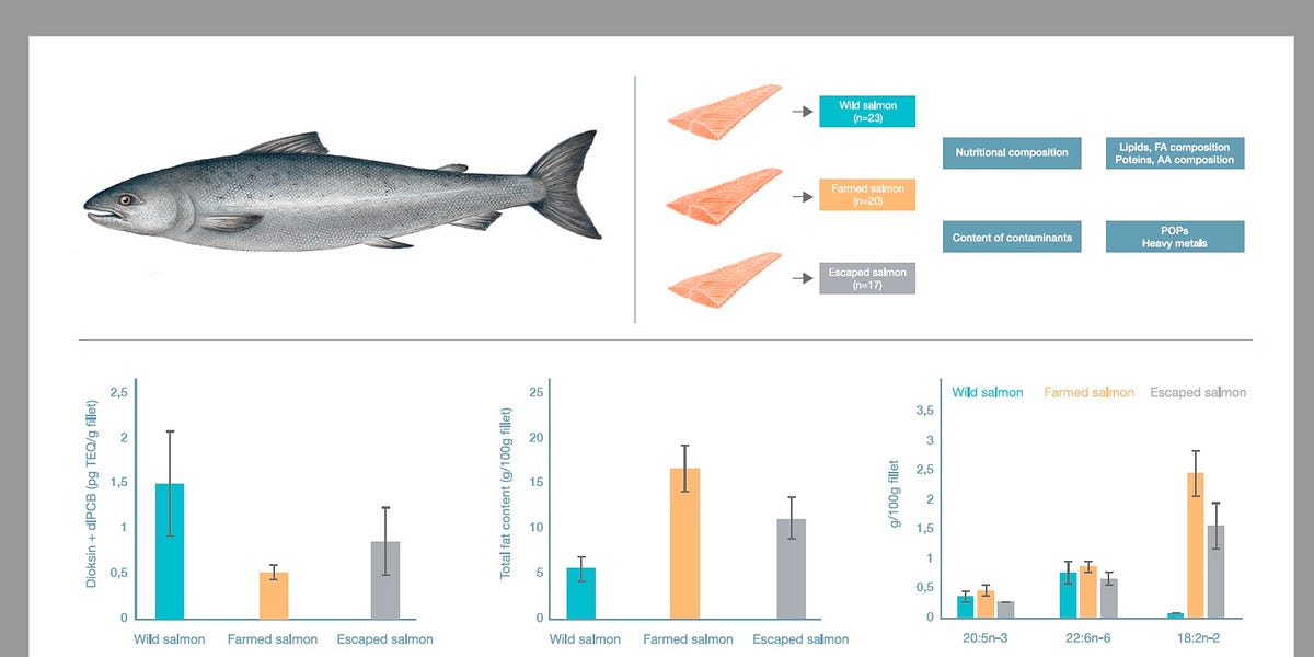 Surviving the Seafood Menu: A Researcher's 9 insights about hidden risk ...