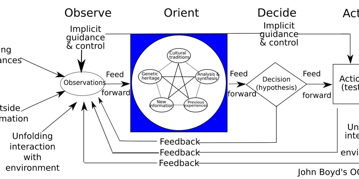 The OODA Loops of the Self - by Adelmo - Dog Ears
