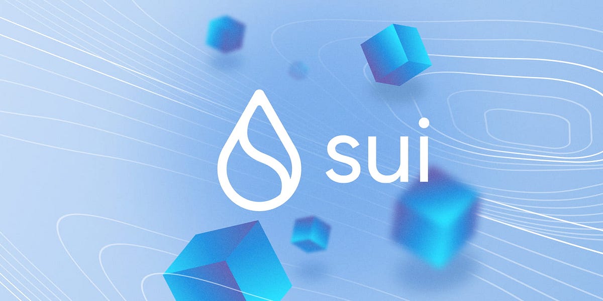The Sui Report: 2024 - The Investors Side Premium
