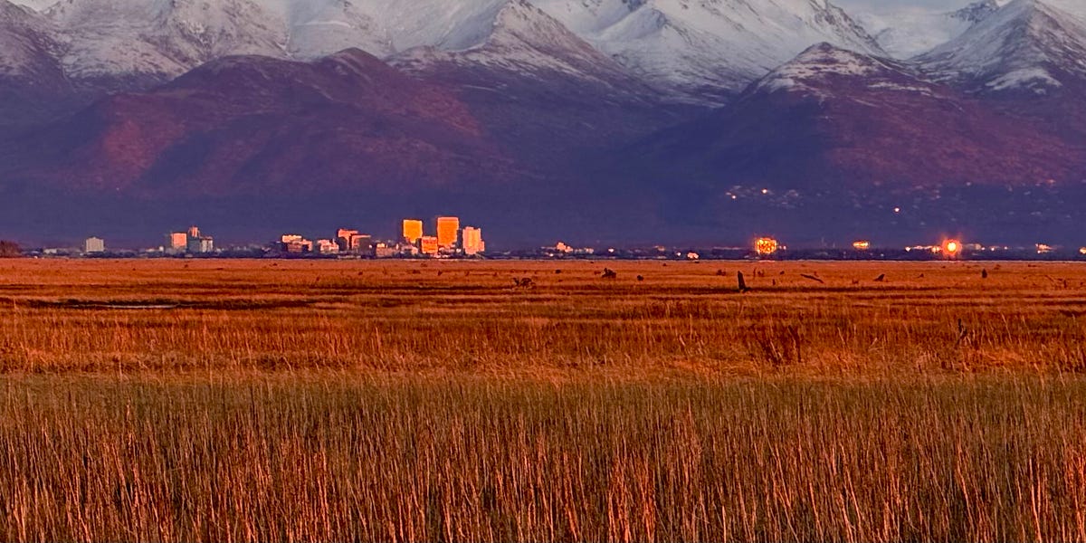 Friday: Swamp the Vote is strong in Alaska