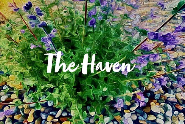 Mid-Month Mashup - by Paulette Bodeman